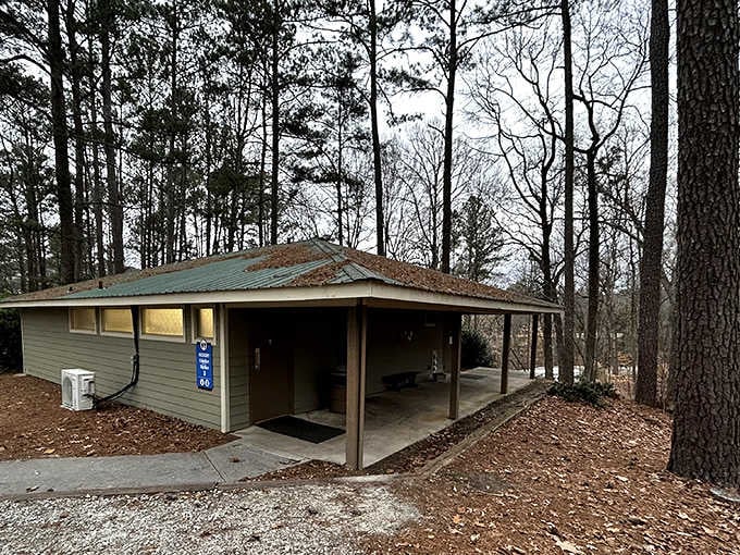Clean comfort stations with actual roofs mean camping doesn't require sacrificing basic human dignity or hot water access.