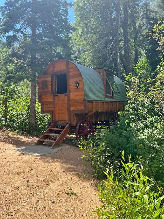 A wooden wagon cabin sitting quietly in the trees, the kind of overnight accommodation that makes a hotel room feel like a missed opportunity.