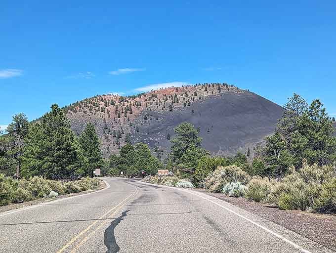 The road curves gently toward Sunset Crater's rust-and-black slopes, practically begging you to keep driving forward.