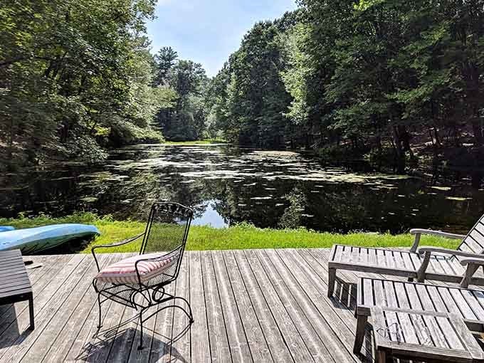 A lily-covered pond surrounded by tall trees, so serene it looks like a painting someone forgot to frame.