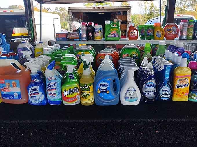 Mr. Clean, Dawn, Tide, Lysol, and Gain standing at attention like a cleaning product army ready to tackle whatever your kitchen throws at them.