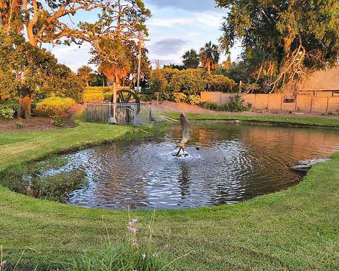At sunset, the koi pond turns golden and the old waterwheel stands quietly like it's seen everything.