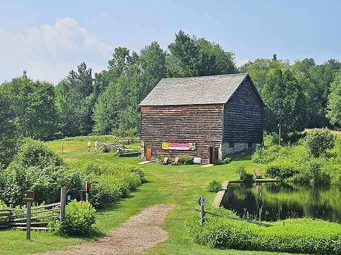 John Brown Farm sits peacefully in the summer sun, holding more American history than its modest barn suggests.
