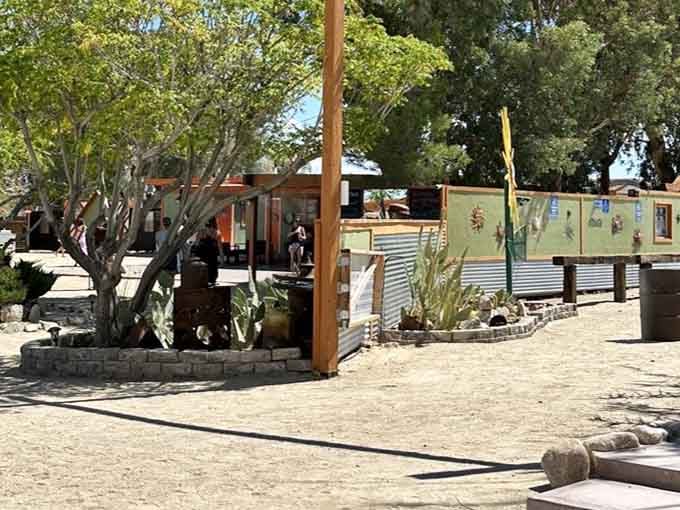 Sandy pathways, desert plants, and warm wooden structures, the grounds around the Integratron invite you to slow down and wander.