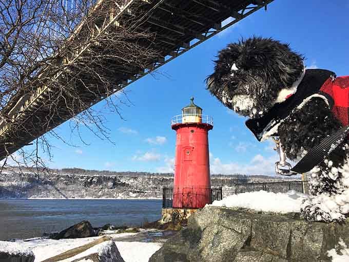 Even buried in snow with a very opinionated dog in the foreground, the lighthouse still steals the whole scene.