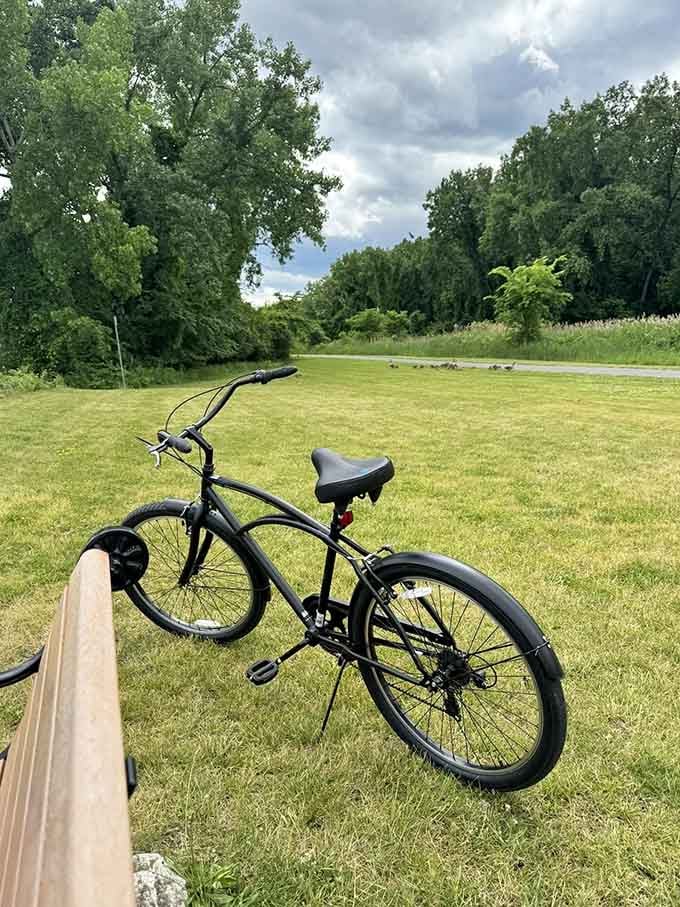 A matte black cruiser bike parked beside a bench with geese wandering nearby is the most relaxed scene you'll find on two wheels.