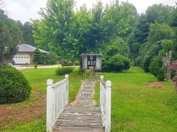 Cross this little wooden bridge and follow the stone path forward, because the best discoveries always require taking that first step.