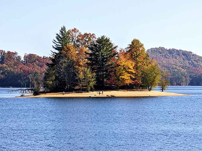 A tiny island dressed in fall color, sitting in the middle of the lake like it owns the place.