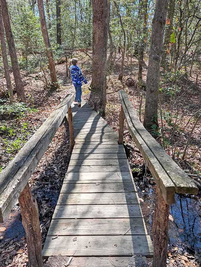 Each footbridge offers its own perspective, its own moment to pause and appreciate the simple pleasure.