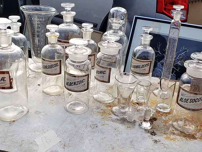 Antique apothecary jars lined up like a chemistry class from another century. Mysterious, elegant, and surprisingly hard to resist.