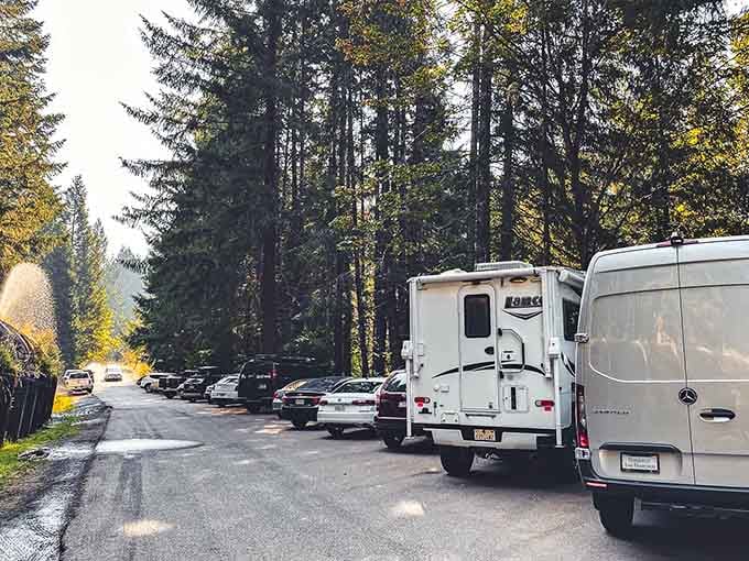 The parking area fills up fast because word gets around when something's this spectacular and accessible.