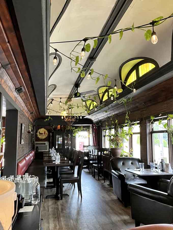 Vines creeping along the ceiling, arched windows glowing green, and booths that invite you to stay longer than you planned.