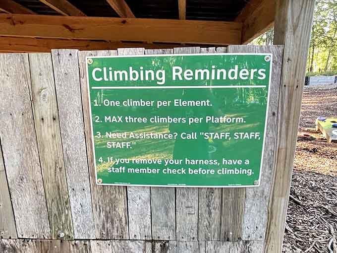 One climber per element, three per platform, simple rules that keep the adventure running smoothly for everyone.