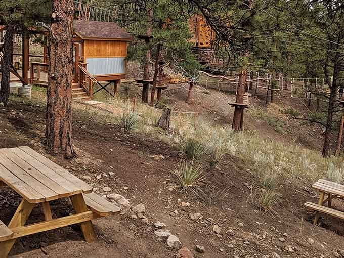 Picnic tables, mountain air, and the sound of people discovering they're braver than they thought. Not a bad afternoon.
