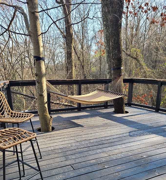 A hammock strung between two trees on an elevated deck, proof that doing absolutely nothing can look remarkably sophisticated.