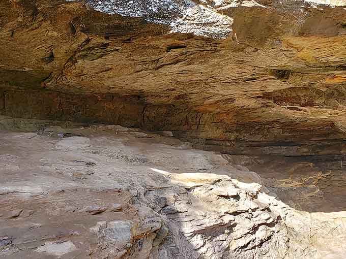 Inside Turkey Run's rocky overhangs, layered sandstone tells a geological story older than anything on your bookshelf.