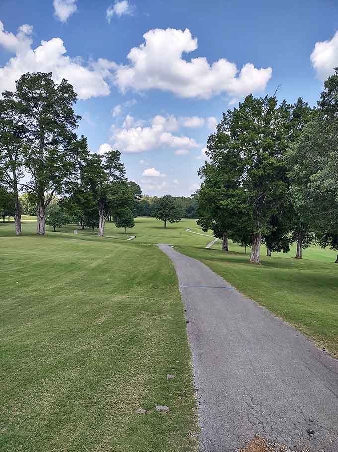 A winding cart path disappearing into a canopy of old trees, this fairway looks like a Sunday morning promise kept.