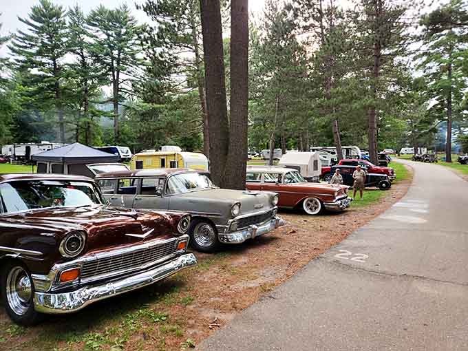 When classic car enthusiasts discover Van Riper, even the campground becomes a rolling museum of automotive history and chrome dreams.