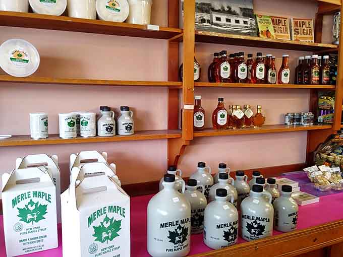Rows of Merle Maple syrup jugs lined up like liquid gold, bottled straight from the heart of New York State.