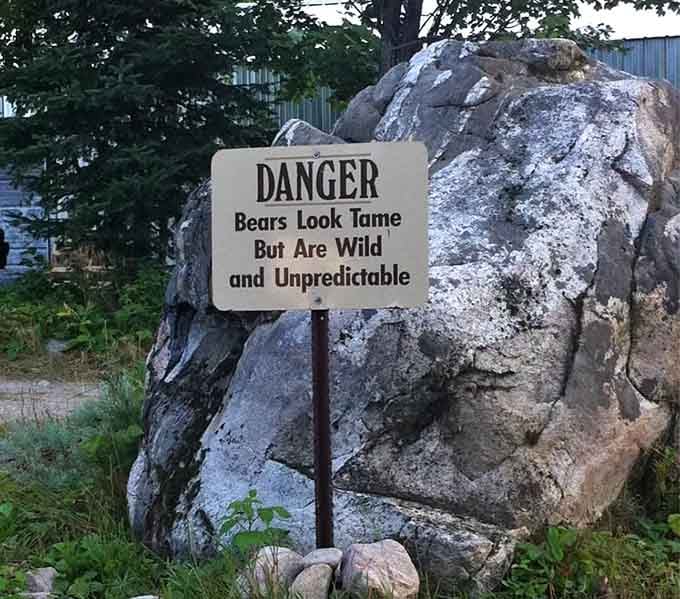 The sanctuary's most honest sign, a friendly reminder that wild bears haven't read the visitor etiquette guidelines.