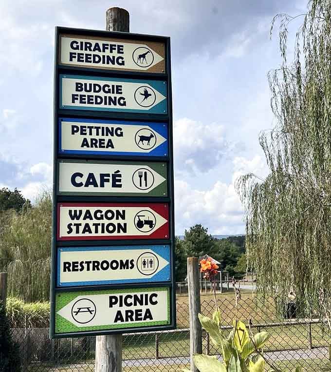 Clear directional signs ensure you won't miss a single experience, from giraffe feeding to budgie encounters to essential facilities.