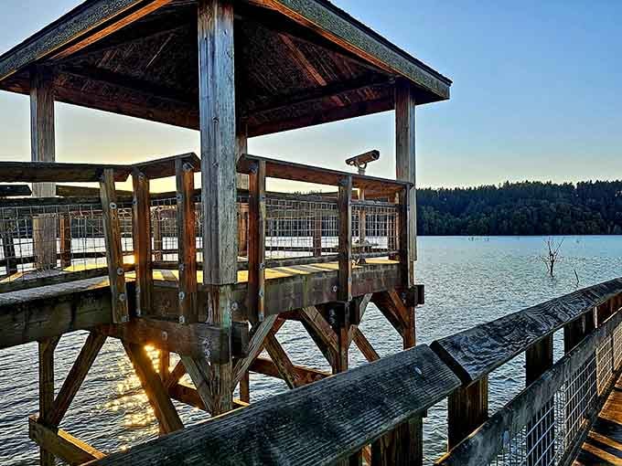 Standing at the observation platform with binoculars mounted and ready, this is where serious wildlife watching gets done in style.