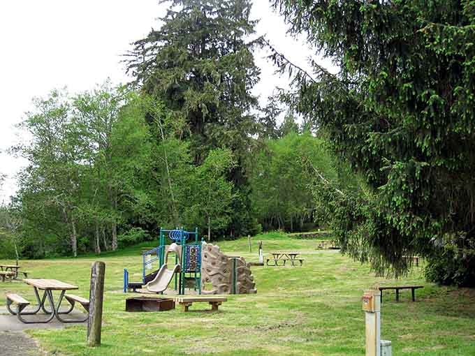 A playground surrounded by towering firs. Kids will disappear here for hours, happily and completely.