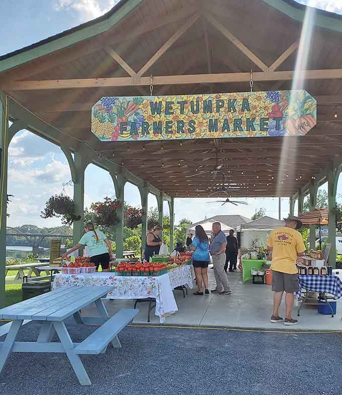 Farmers markets connecting you directly to people who grew your food, revolutionary in its beautiful simplicity and freshness.