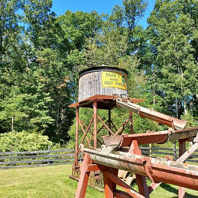 Egan's Mine Gold Panning: where every visitor becomes convinced they're one swirl away from fortune.