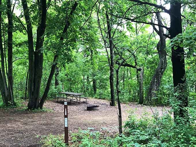 Tucked beneath a cathedral of green trees, this campsite offers a picnic table, a fire ring, and a serious upgrade from your daily routine.