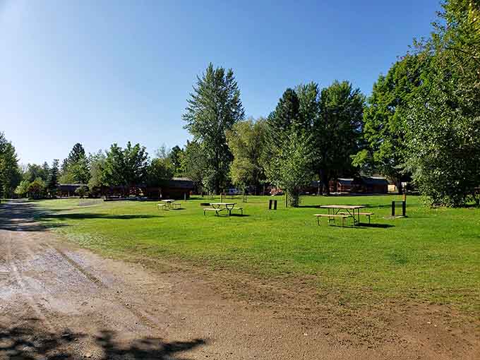 Wide-open picnic areas provide space for families to gather, eat, and plan tomorrow's adventures under the pines.