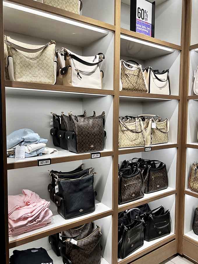 Coach handbags lined up on clean white shelves, looking like they belong in a boutique but priced like an outlet.