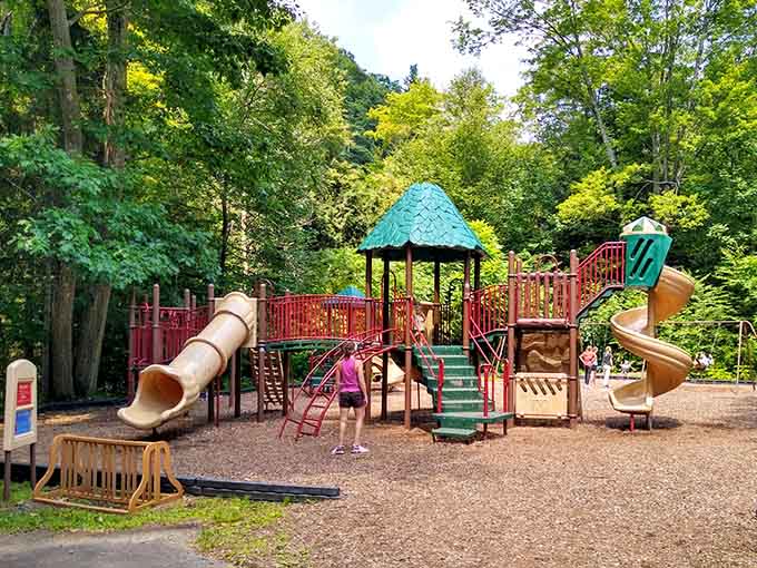 A full playground surrounded by towering green forest means the kids will sleep extremely well tonight, and so will you.