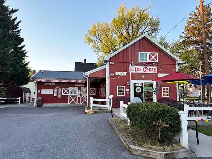 At dusk, Little Red Barn's red barn doors and string of outdoor lights create the coziest ice cream atmosphere in Frederick County.
