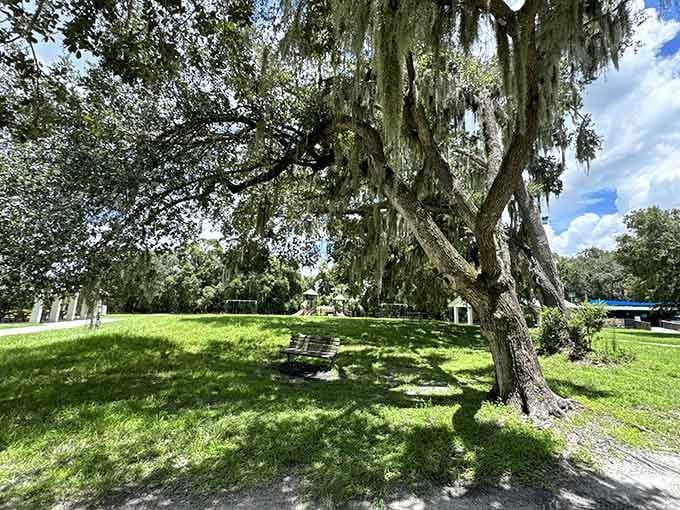 Find a bench under a moss-draped oak and suddenly your to-do list doesn't seem quite so urgent anymore.