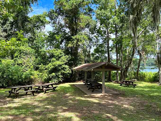 Shaded picnic tables right beside the water. Pack a lunch, because eating here is an experience all on its own.