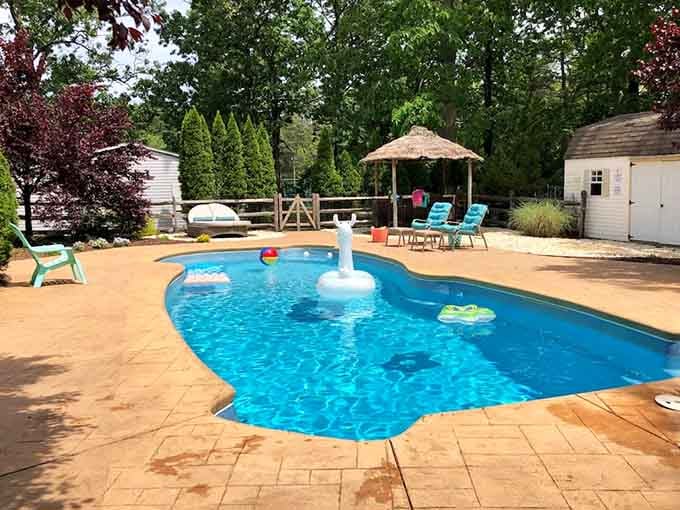 A backyard pool with an alpaca float, because of course there's an alpaca float, and it's perfect.