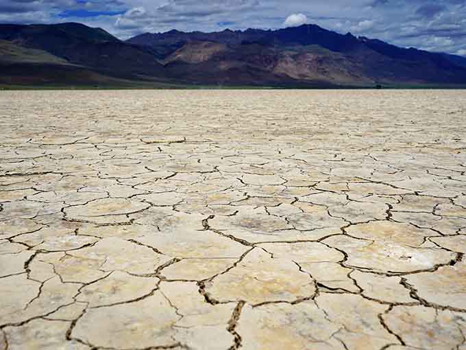 Cracked earth forms nature's mosaic, each polygon a testament to sun, water, and time's patient artistry over countless seasons.