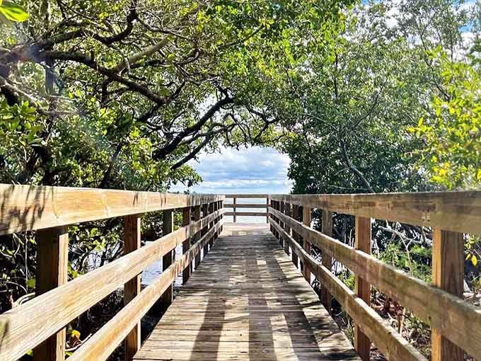 A sun-dappled wooden boardwalk threading through a canopy of mangroves, opening up to open water and sky. Pure Florida magic, no filter needed.