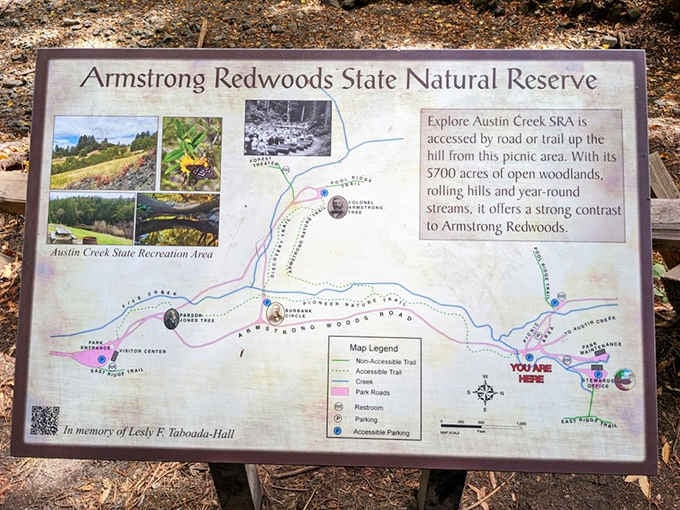 The reserve map reveals just how much adventure is packed into this canyon, and suddenly one visit feels insufficient.