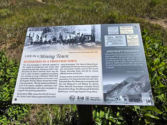 Historical markers like this connect the dots between what you're seeing and what actually happened in this valley.