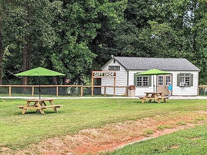 Picnic tables, green umbrellas, and fresh Georgia air. This is what a perfect afternoon actually looks like.