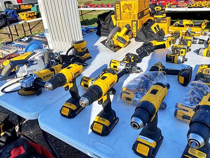 A full spread of DeWalt power tools gleaming in the sun, every handyman's version of a candy store.
