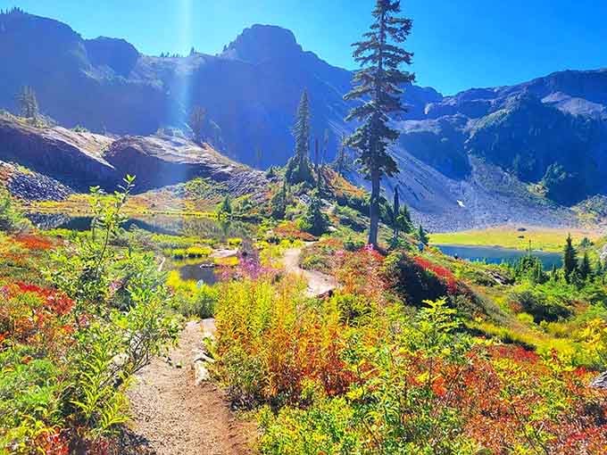 When autumn decides to show off at Bagley Creek, the whole trail turns into a painting you can walk through.