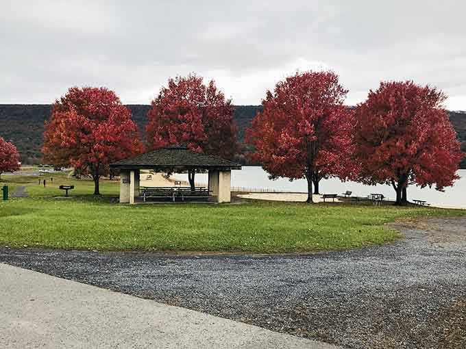 Blazing red trees framing a lakeside pavilion in autumn, this is the kind of scene that makes you pull over immediately.