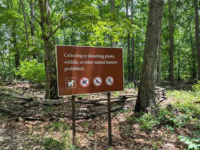 These gentle reminders protect the park's treasures, ensuring future generations can walk this same hallowed ground we're privileged to explore.
