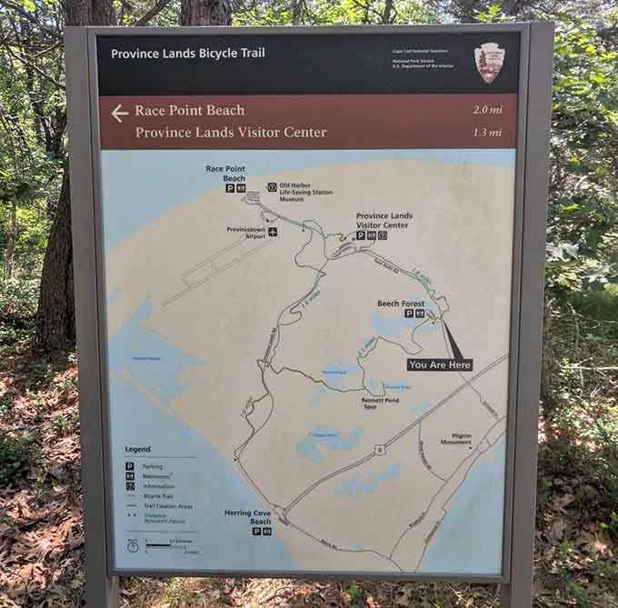 The trail map that confirms you are, in fact, exactly where you should be right now.