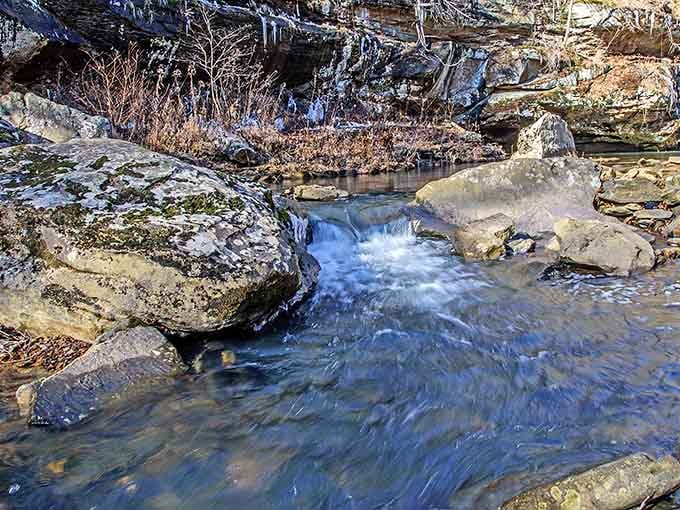 Winter turns the creek into something quietly spectacular. Cold never looked this beautiful.