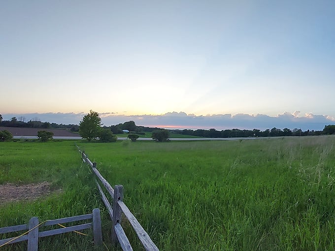 Green fields stretching toward a glowing sunset horizon. This is the view that makes you forget what you were worried about.