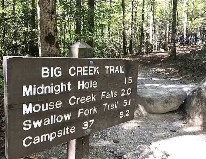 Midnight Hole and Mouse Creek Falls are both within reach. Your hiking boots have no excuse.